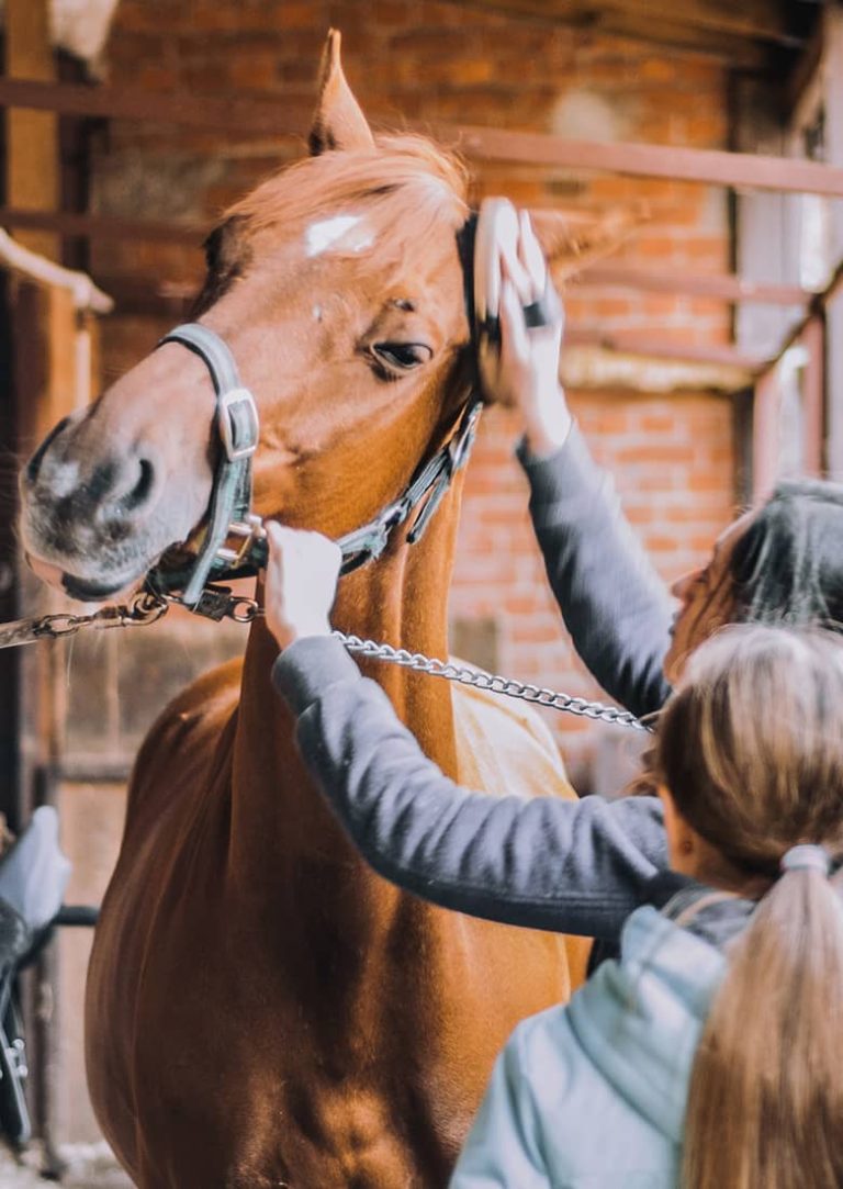 Home - Valley Riding