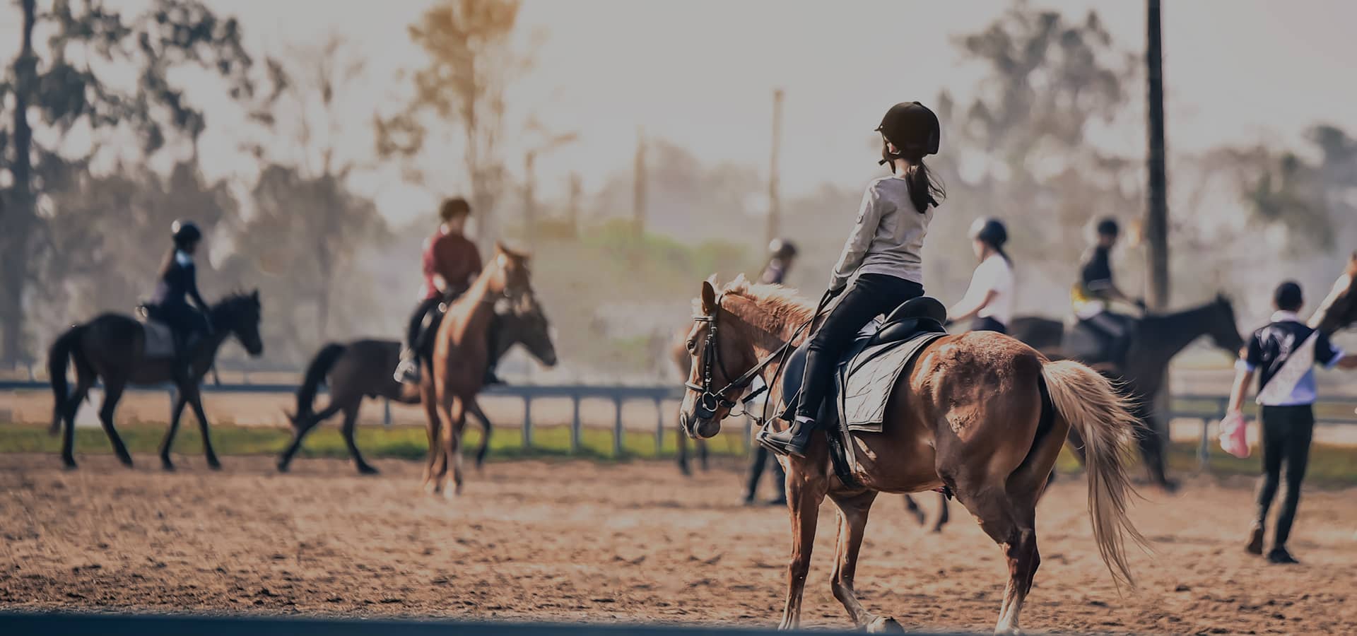 Programs & Lessons - Valley Riding Inc.