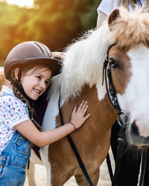 Home - Valley Riding Inc.