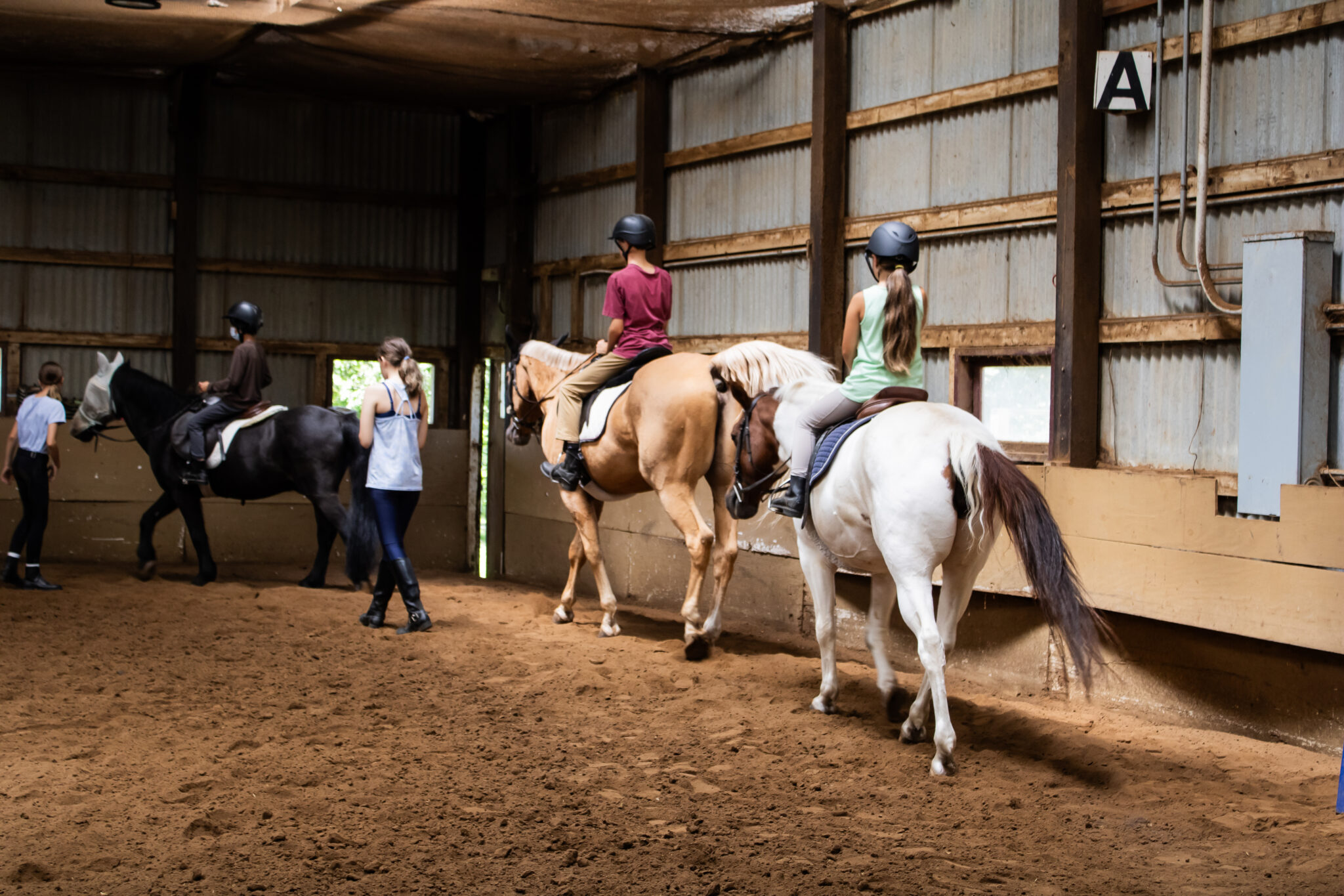 Programs & Lessons - Valley Riding Inc.